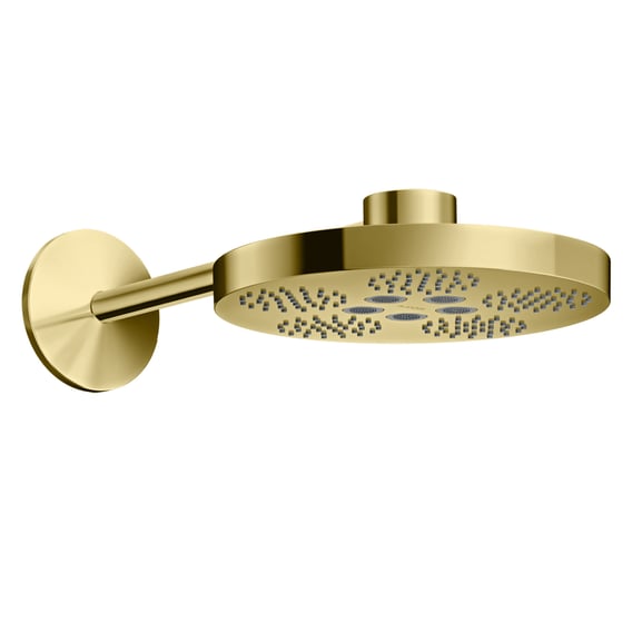 AXOR One Kopfbrause, 2 Strahlarten gold - 48492990 - Emero.de