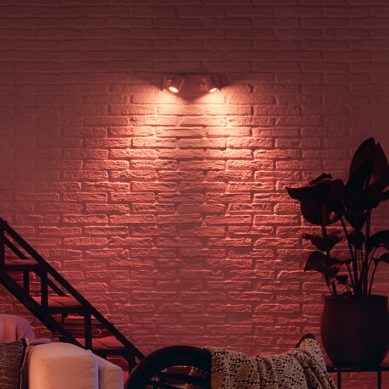 Philips Hue White & Color Ambiance Argenta Strahler, GU10, 2-flammig ...
